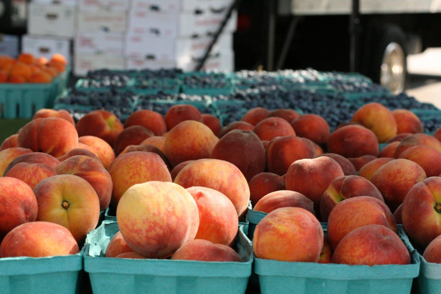 BRYN MAWR FARMERS MARKET